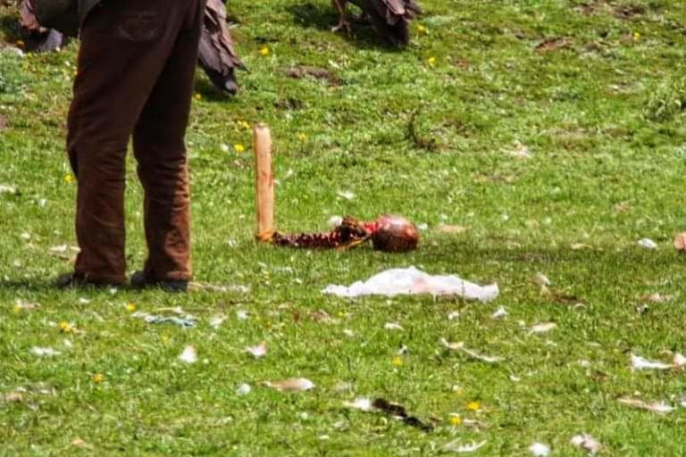 Sky burial - SeeGore