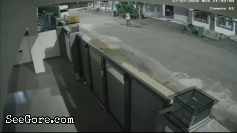 Gore Videos - Page 13 of 232 - SeeGore