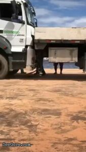 Gore Videos - Page 3 of 232 - SeeGore