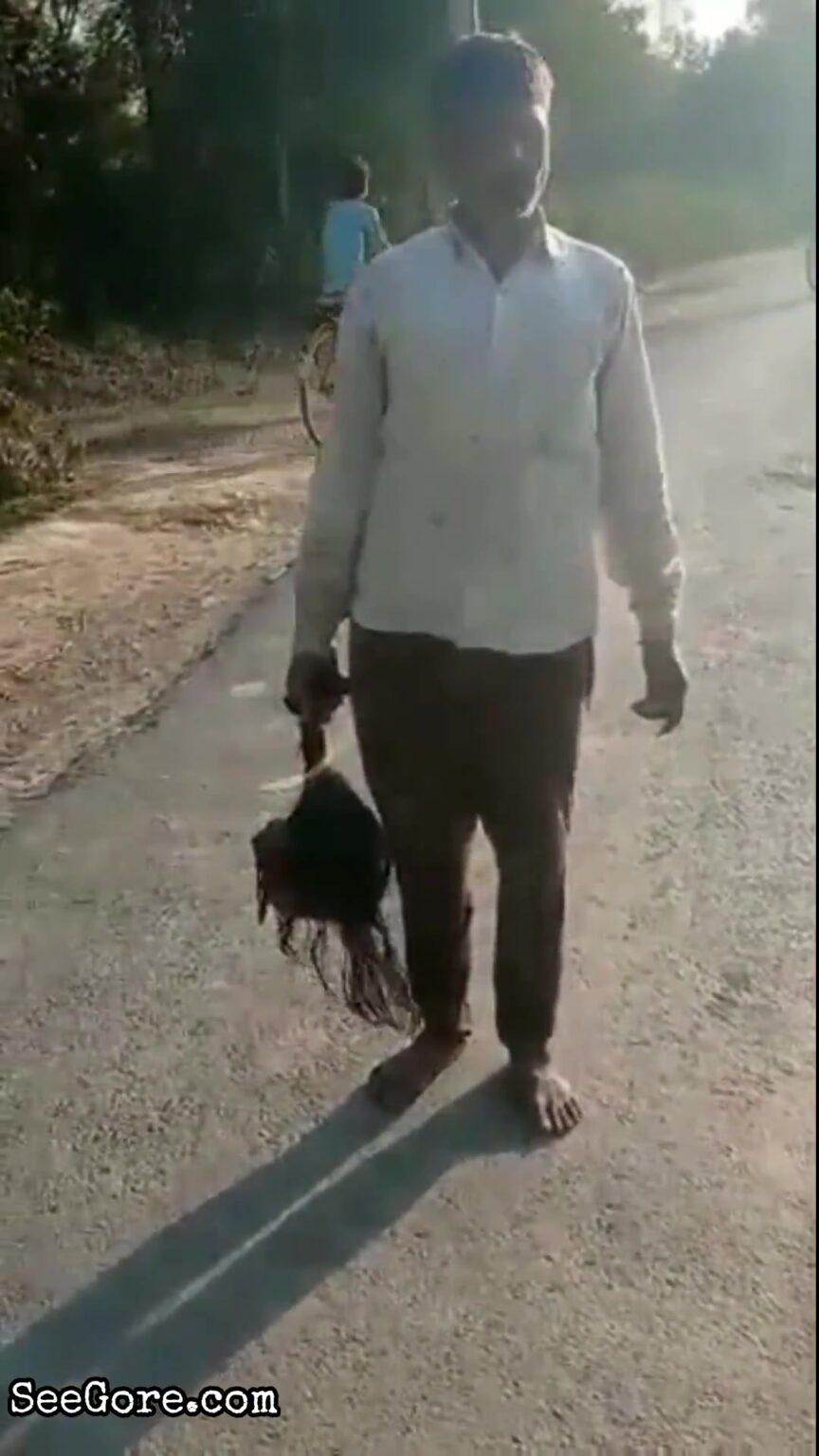 Murder Archives - SeeGore