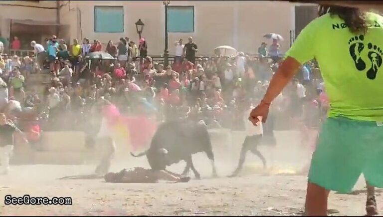 Animal Archives - SeeGore