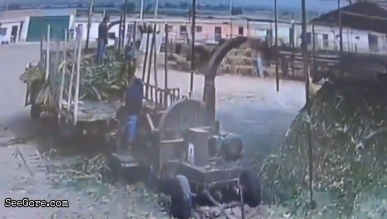 Aftermath Archives - SeeGore