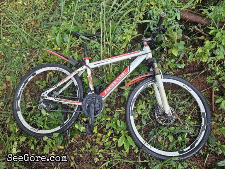 Vietnamese Man Found Hanging on a Tree - SeeGore