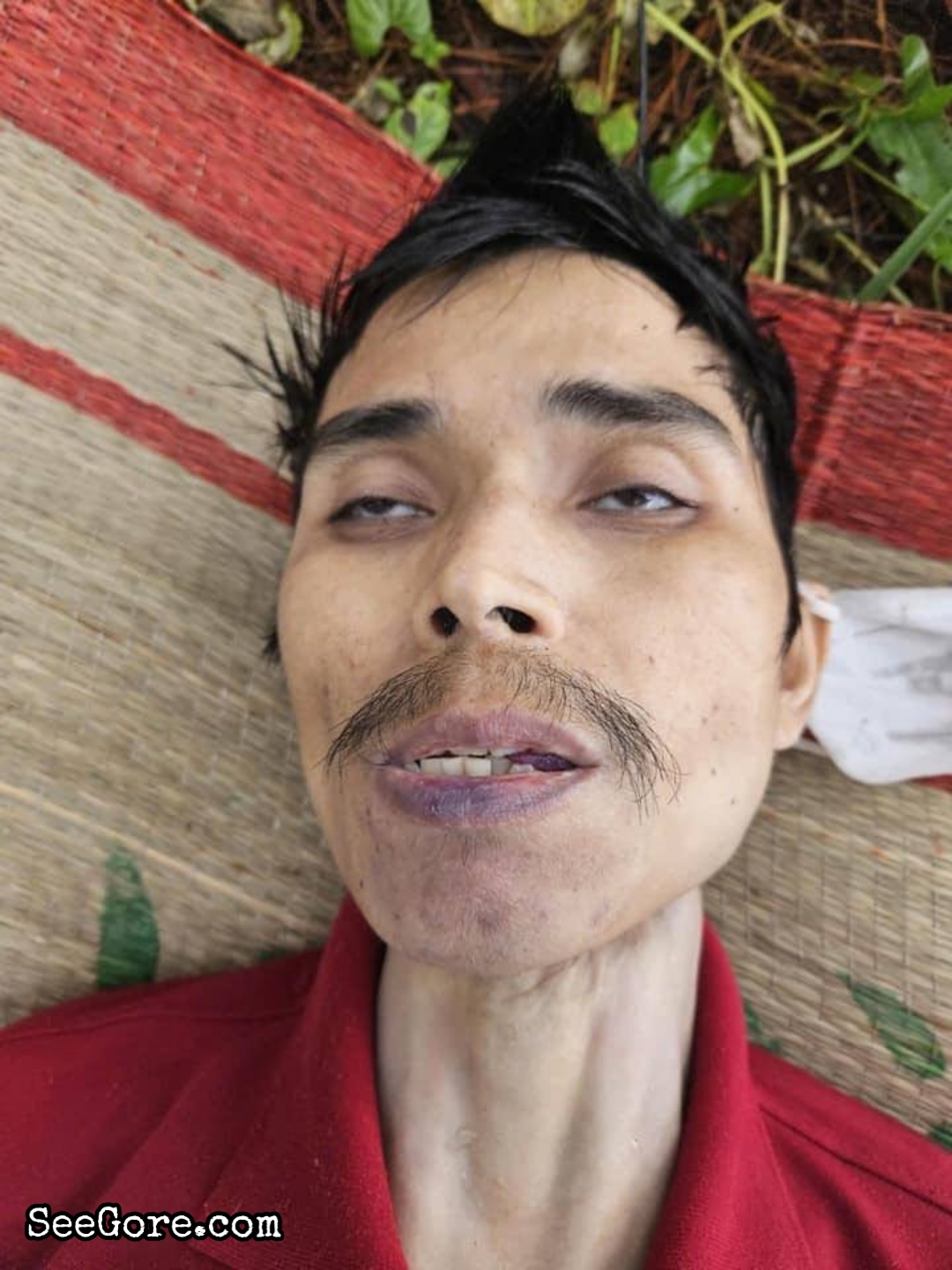 Vietnamese Man Found Hanging on a Tree - SeeGore
